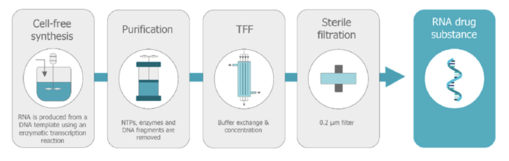 Four Pillars for Successful Self-Amplifying RNA Vaccines… | TriLink ... Four Pillars for Successful Self-Amplifying RNA Vaccines… | TriLink ...